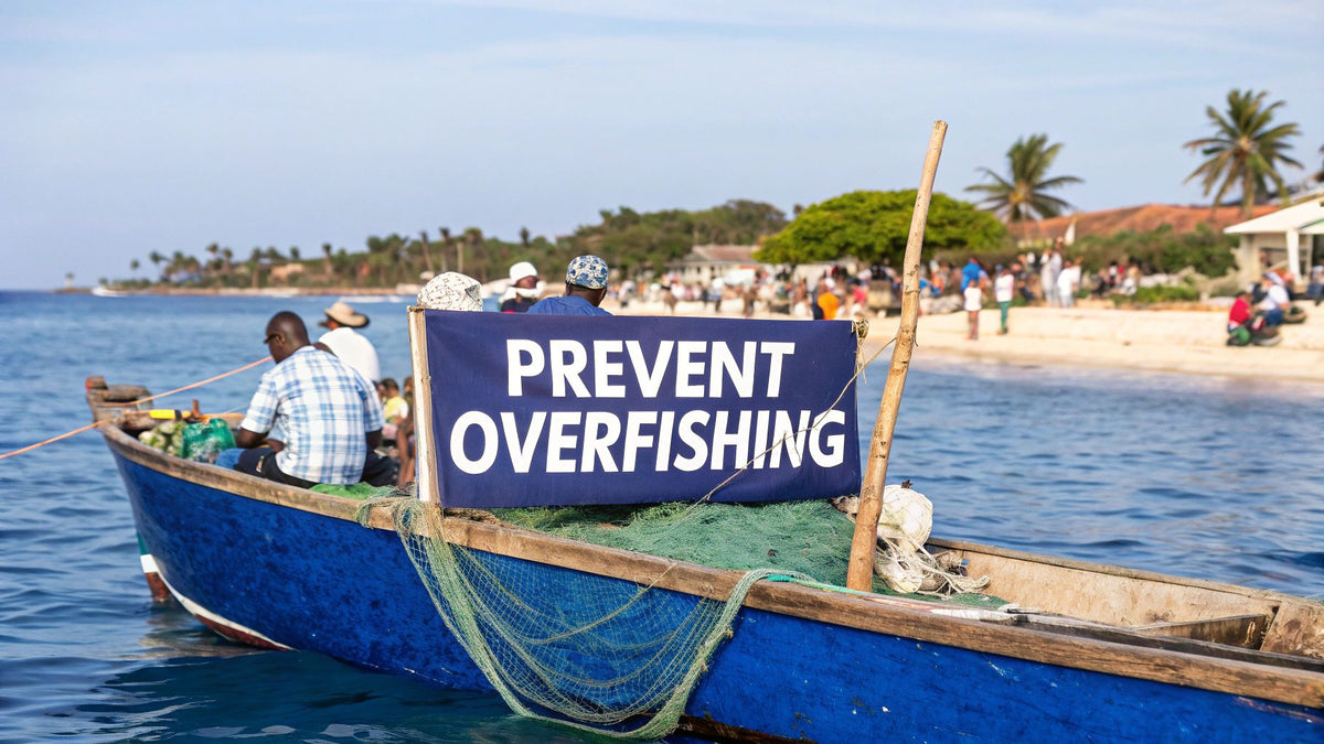 How to Prevent Overfishing: Real Solutions That Work – CLiX Fueling