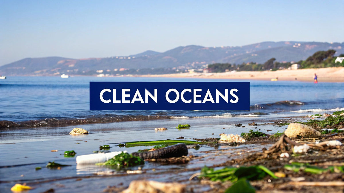 How to Prevent Marine Pollution: Essential Steps to Act Now – CLiX Fueling